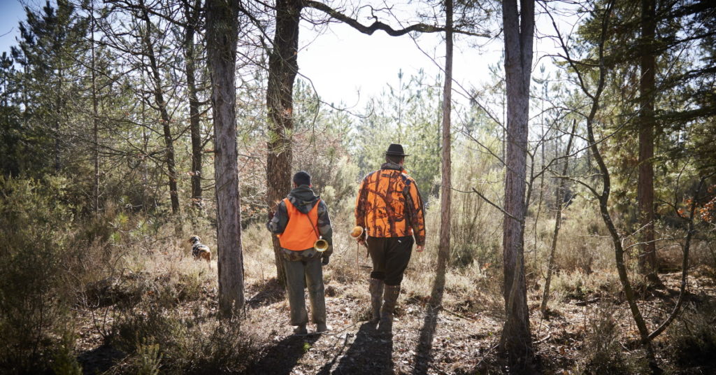 Benefits of Elk Hunting in KS | Kansas Trophy Outfitters